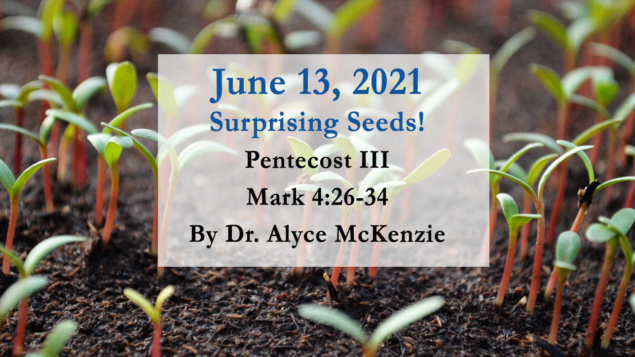 Surprising Seeds Reflections On Mark 4 26 34 Surprising Seeds Reflections On Mark 4 26 34